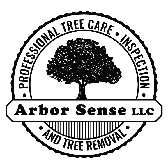 Tree Disease & Insect Treatment | Arbor Sense LLC Murfreesboro TN
